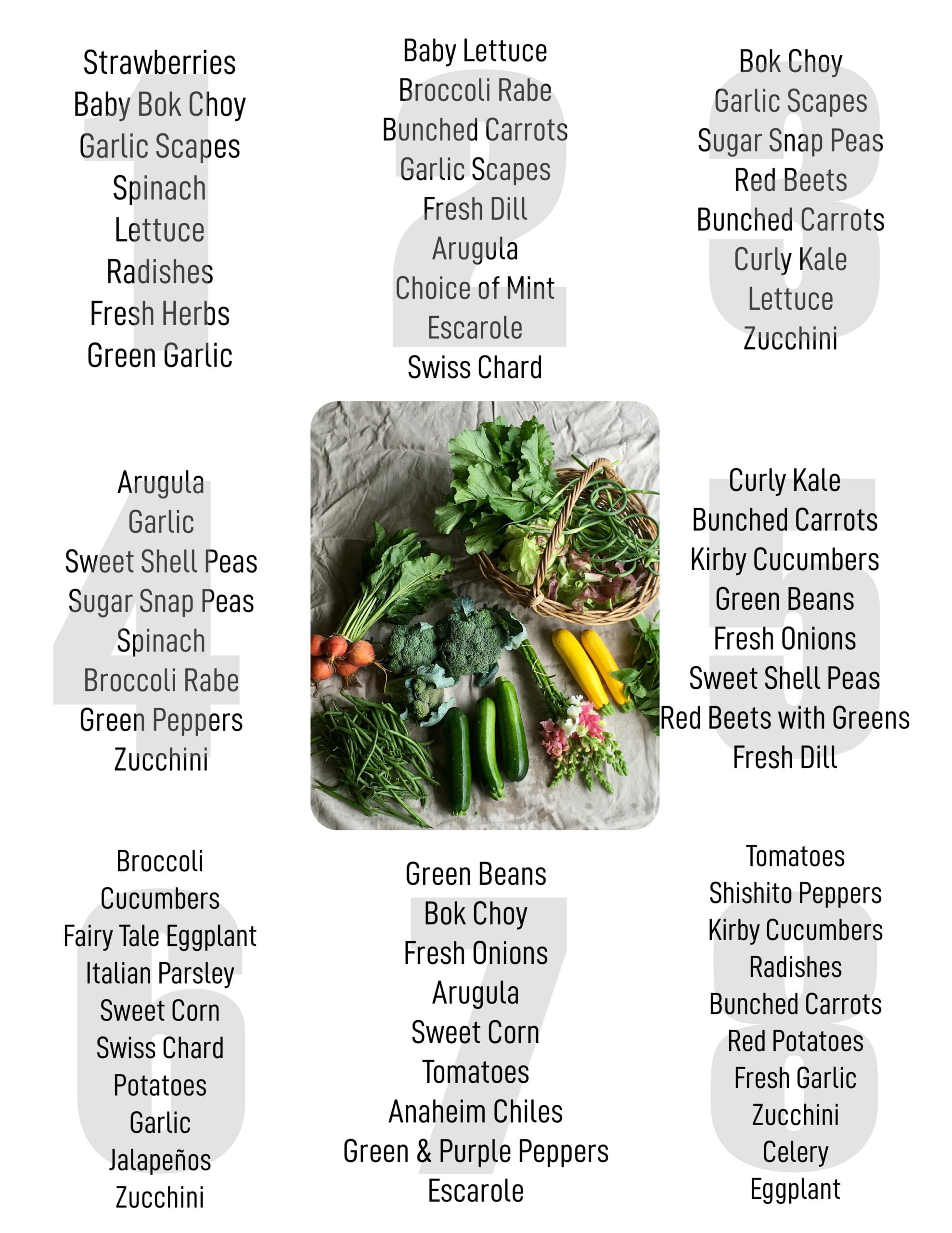 What's In A Share Box? ~ Bialas Farms